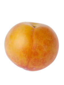 PRUNE TC SUN - Les jardins de Vartan : Maraîcher